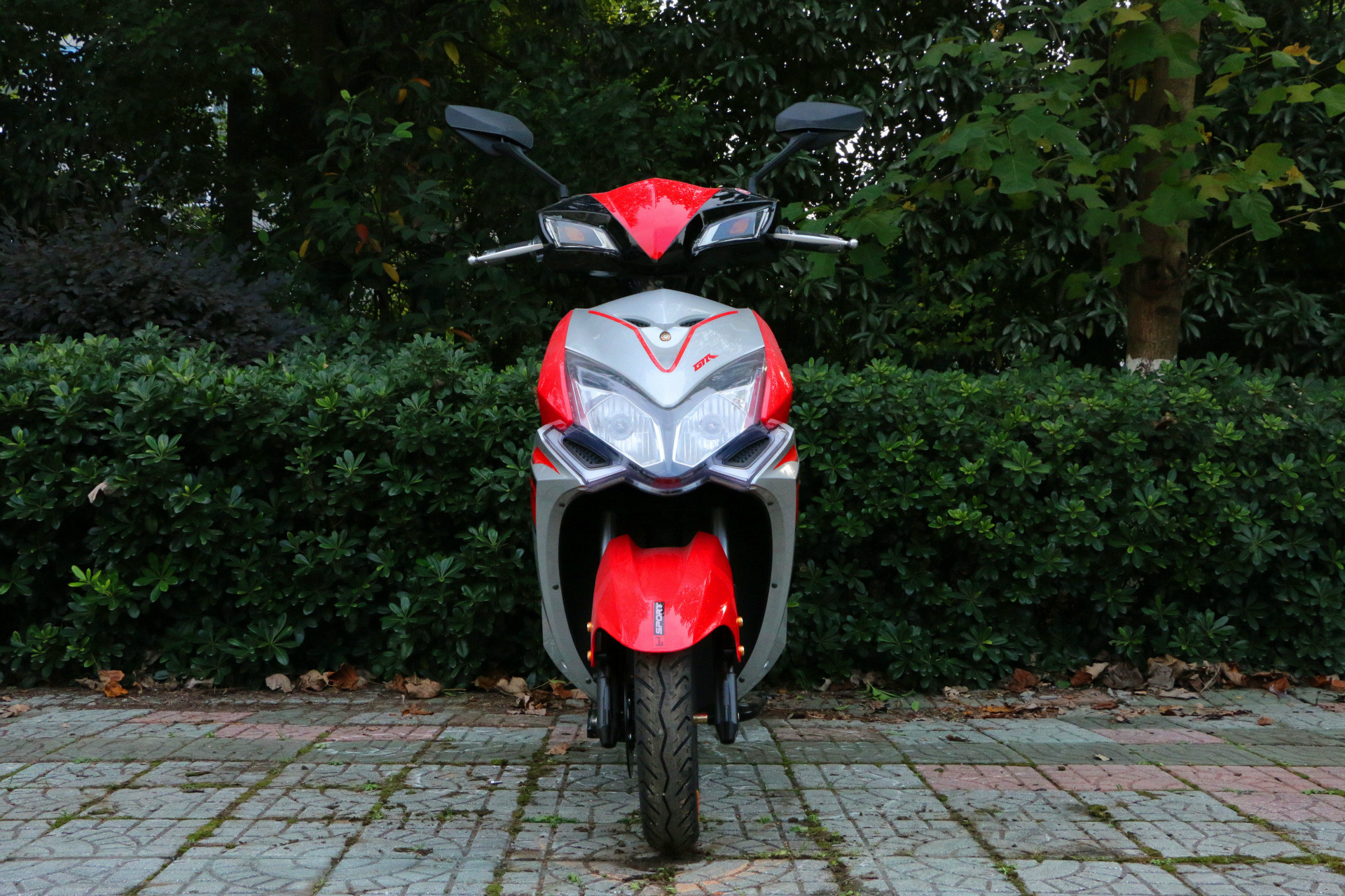 İki Tekerlek ile Lüks Yetişkin Scooter Elektrikli Moped Bisiklet 800w ...